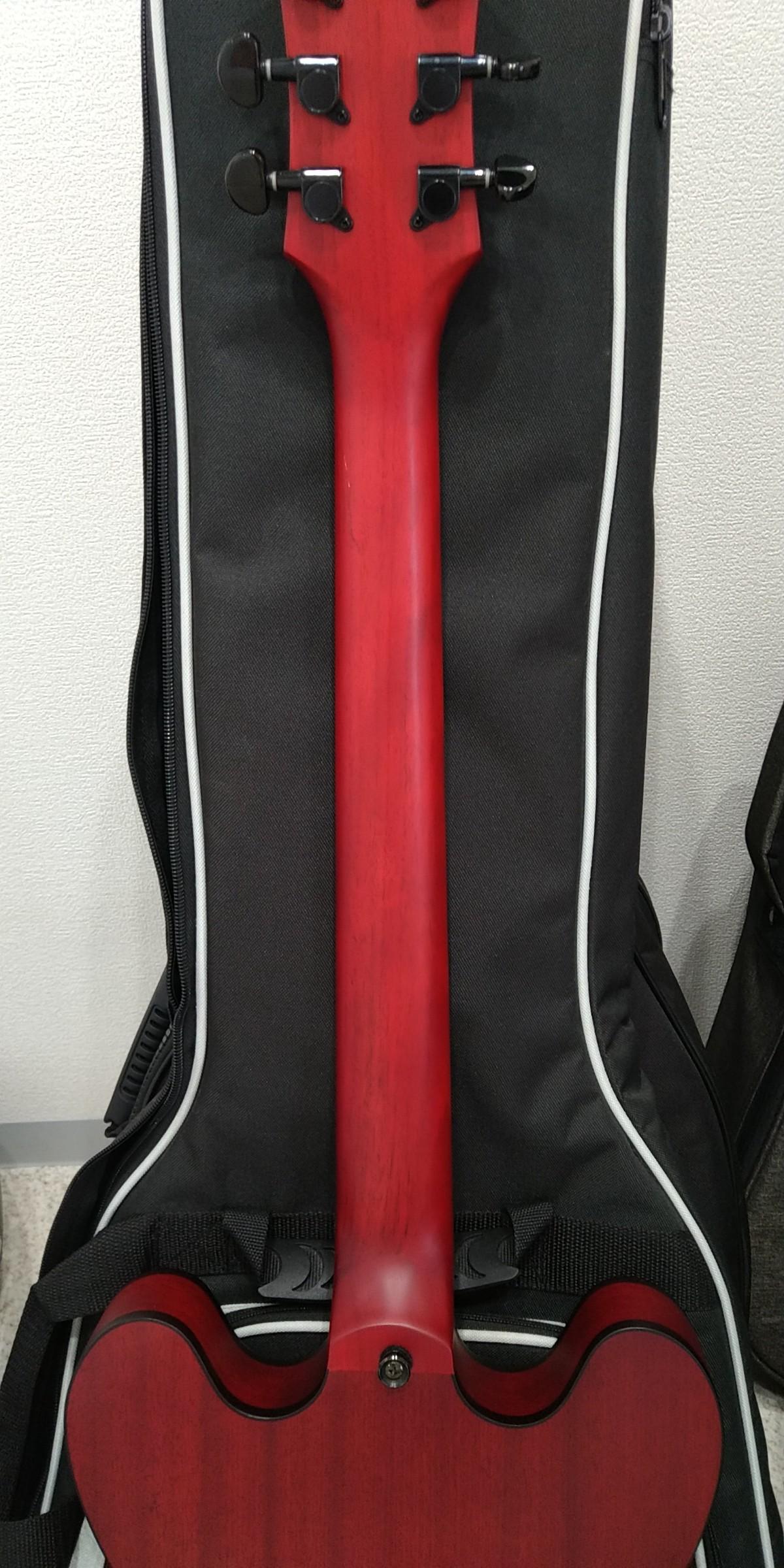 Epiphone Dot Studio WC｜SOUNDMART