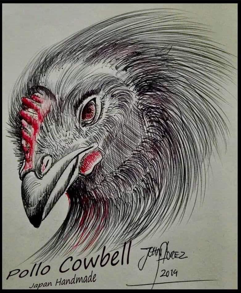 Pollo Cowbell Japan / Bongo Bell G4＆ Beater SET｜SOUNDMART